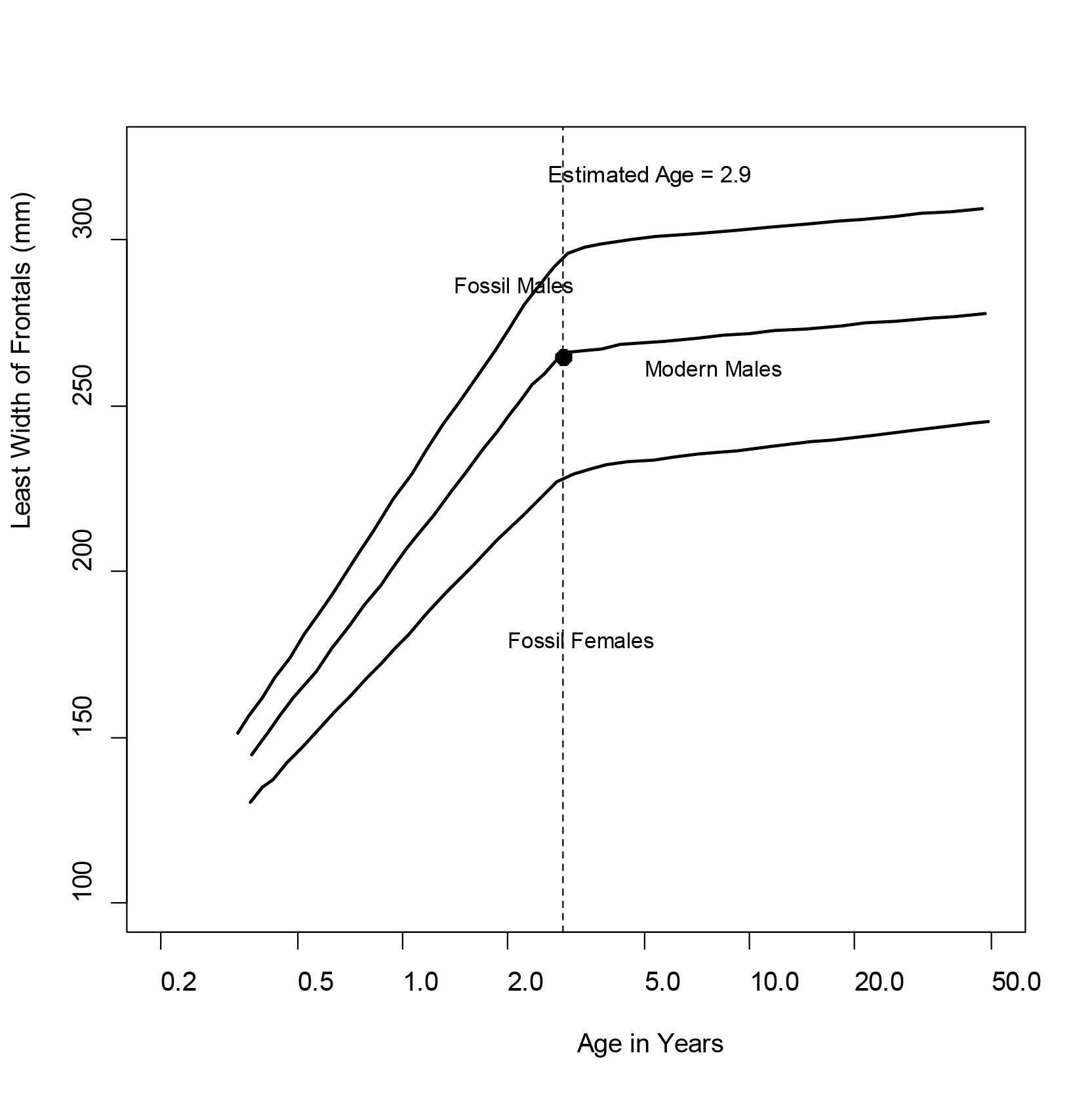 Bison of the Bighorn Basin Project: An Update – Meeteetse Museums