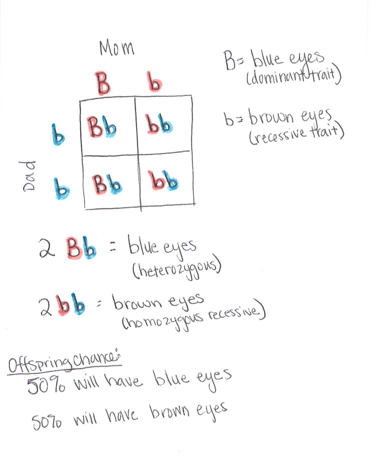 Preserving the Black-Footed Ferret Species Through Gene Cloning and ...